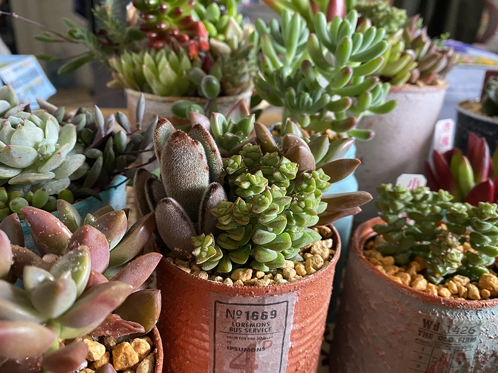 ハンドメイドフェス｜まるごとみんなで！KFBまつり2022｜KFB